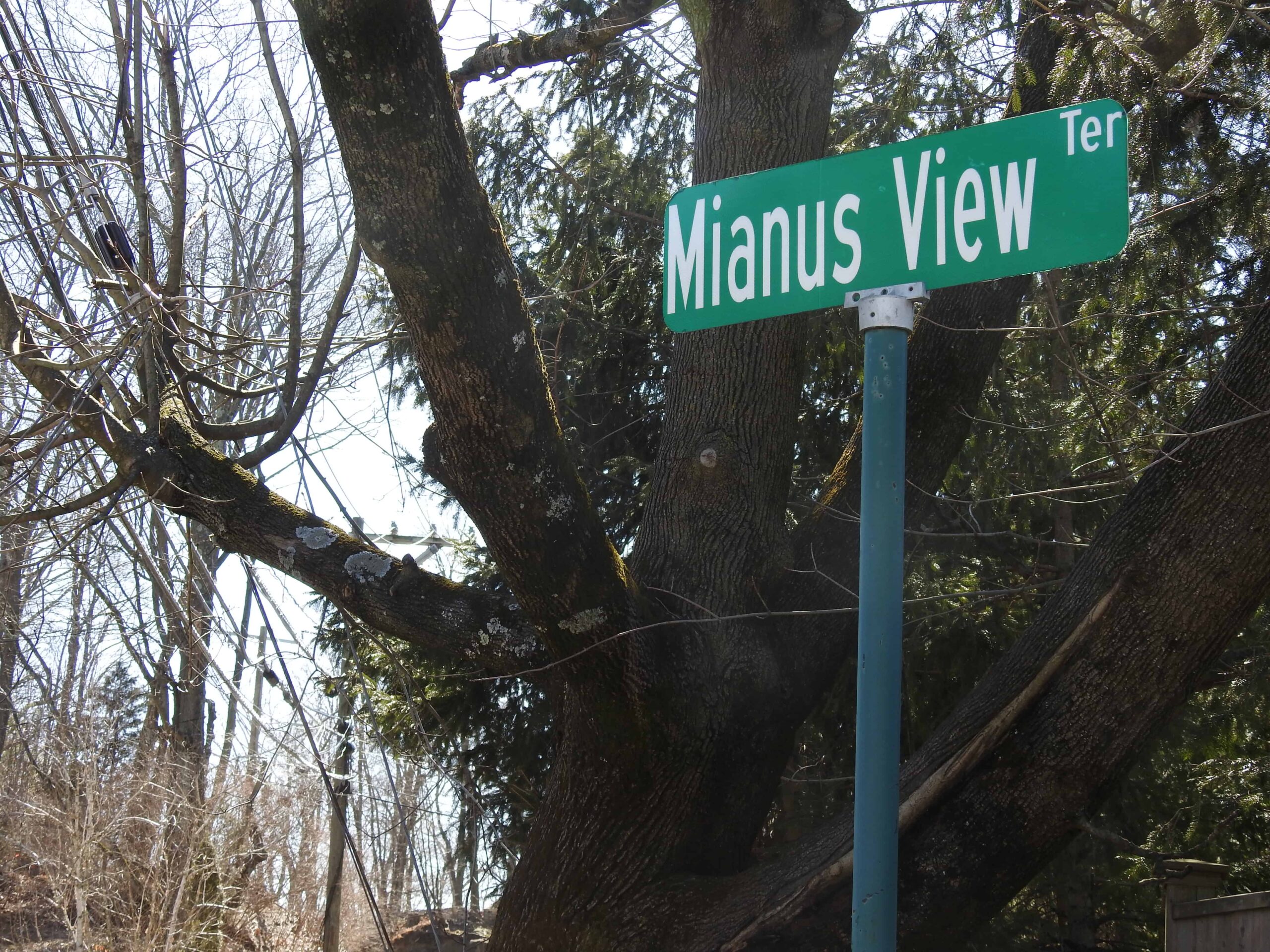 Sign of the Month March, 2021 -Mianus, CT - Route 1 Views