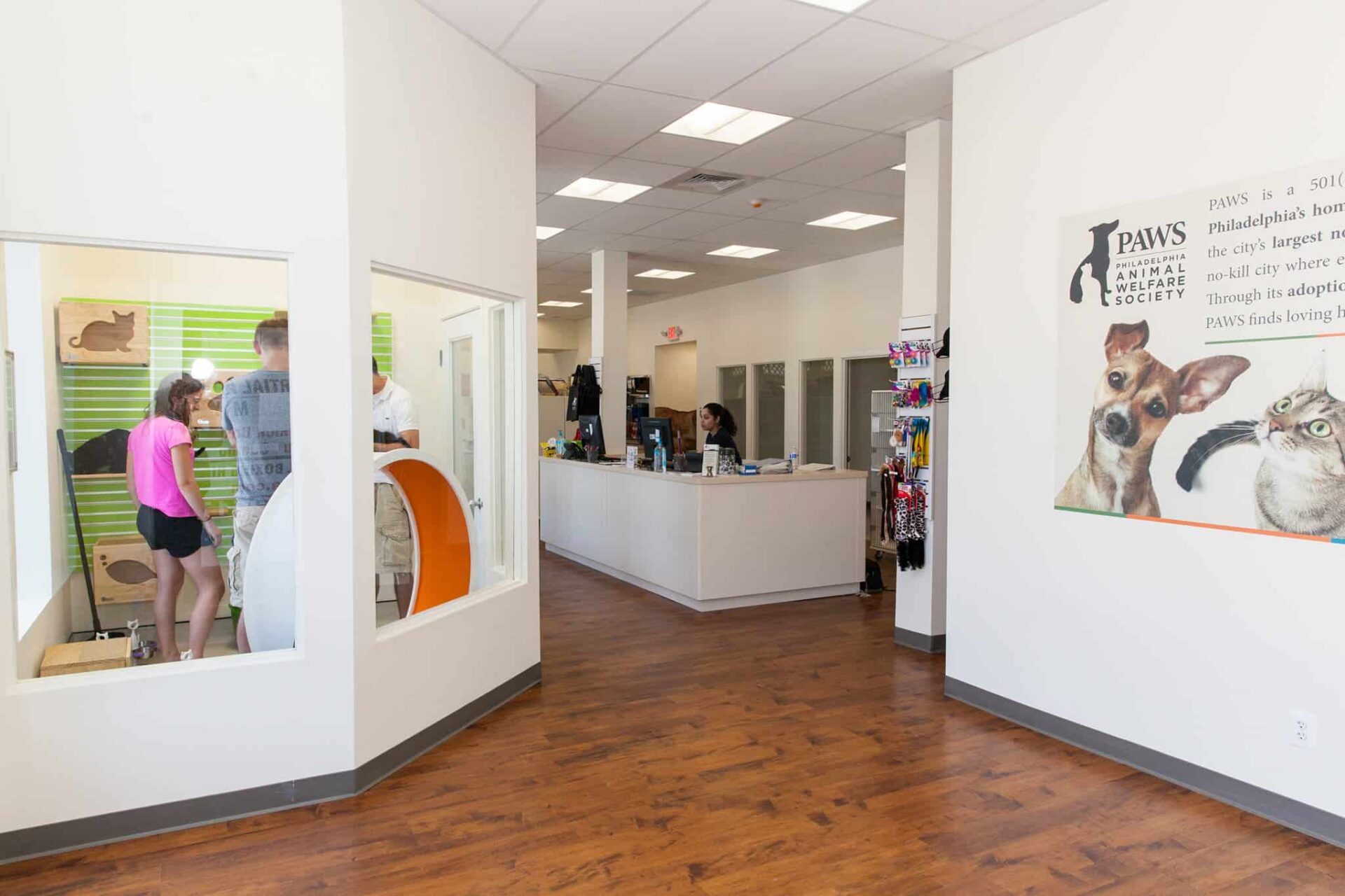 One of Philly’s Finest Animal Rescue Partners: PAWS - Route 1 Views