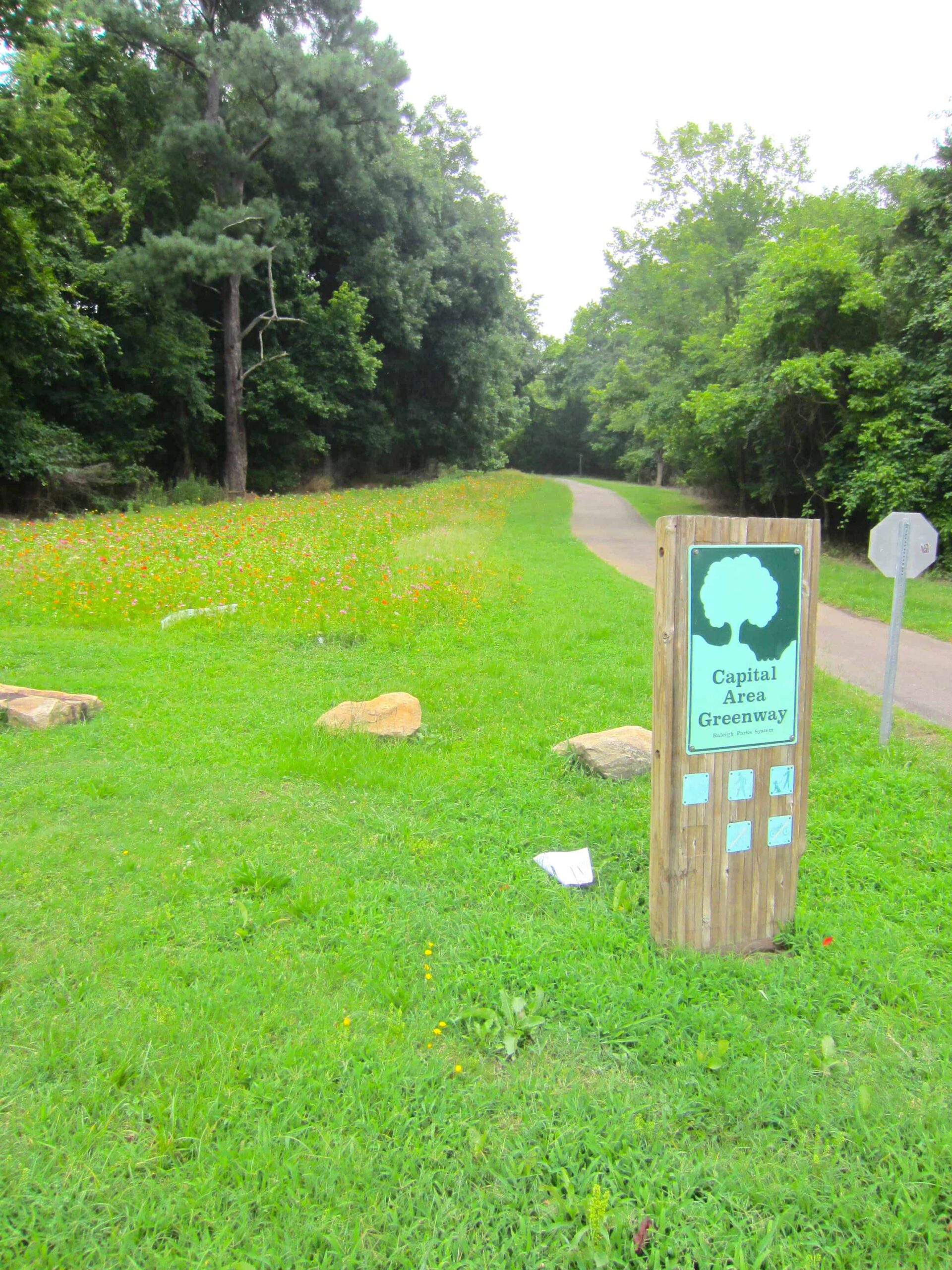 Greenway Biking in Raleigh, a dispatch from the Walnut Creek Trail ...