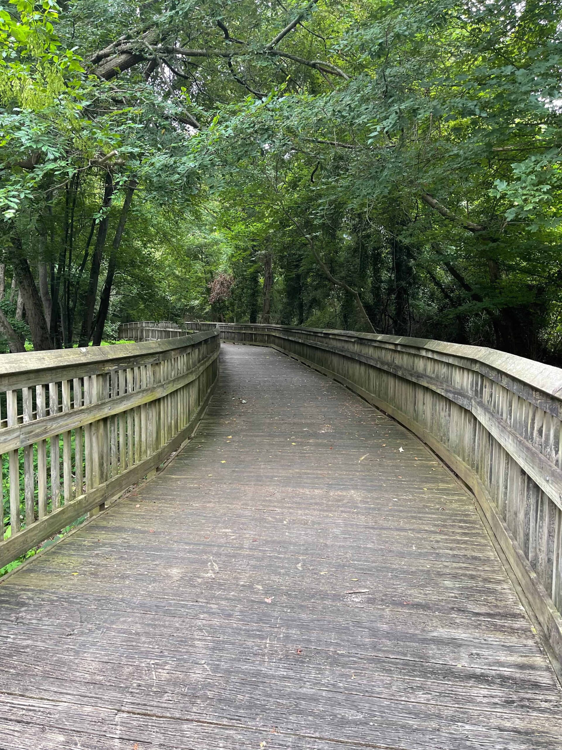Greenway Biking in Raleigh, a dispatch from the Walnut Creek Trail ...
