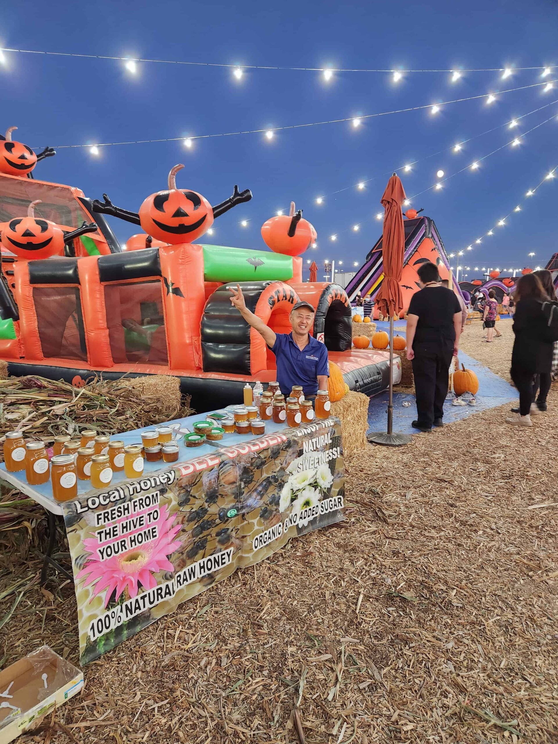 Pumpkin Patch Time - Route 1 Views