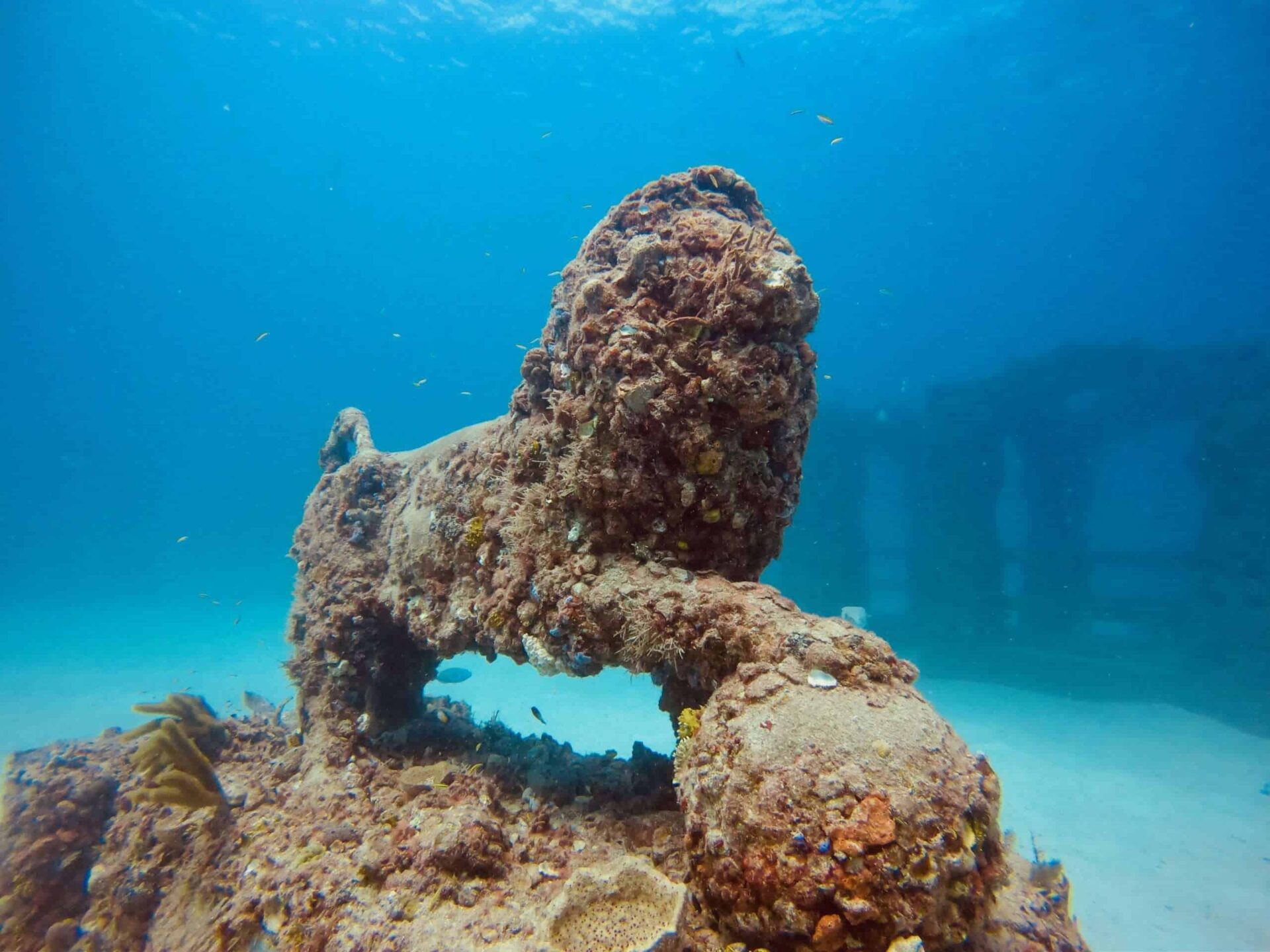 Underwater Cemetery - Route 1 Views
