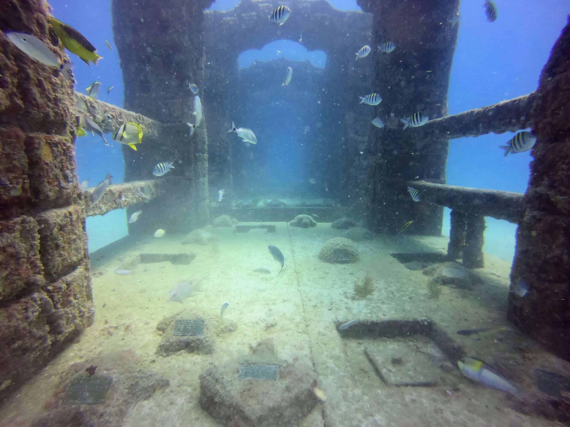 Underwater Cemetery - Route 1 Views