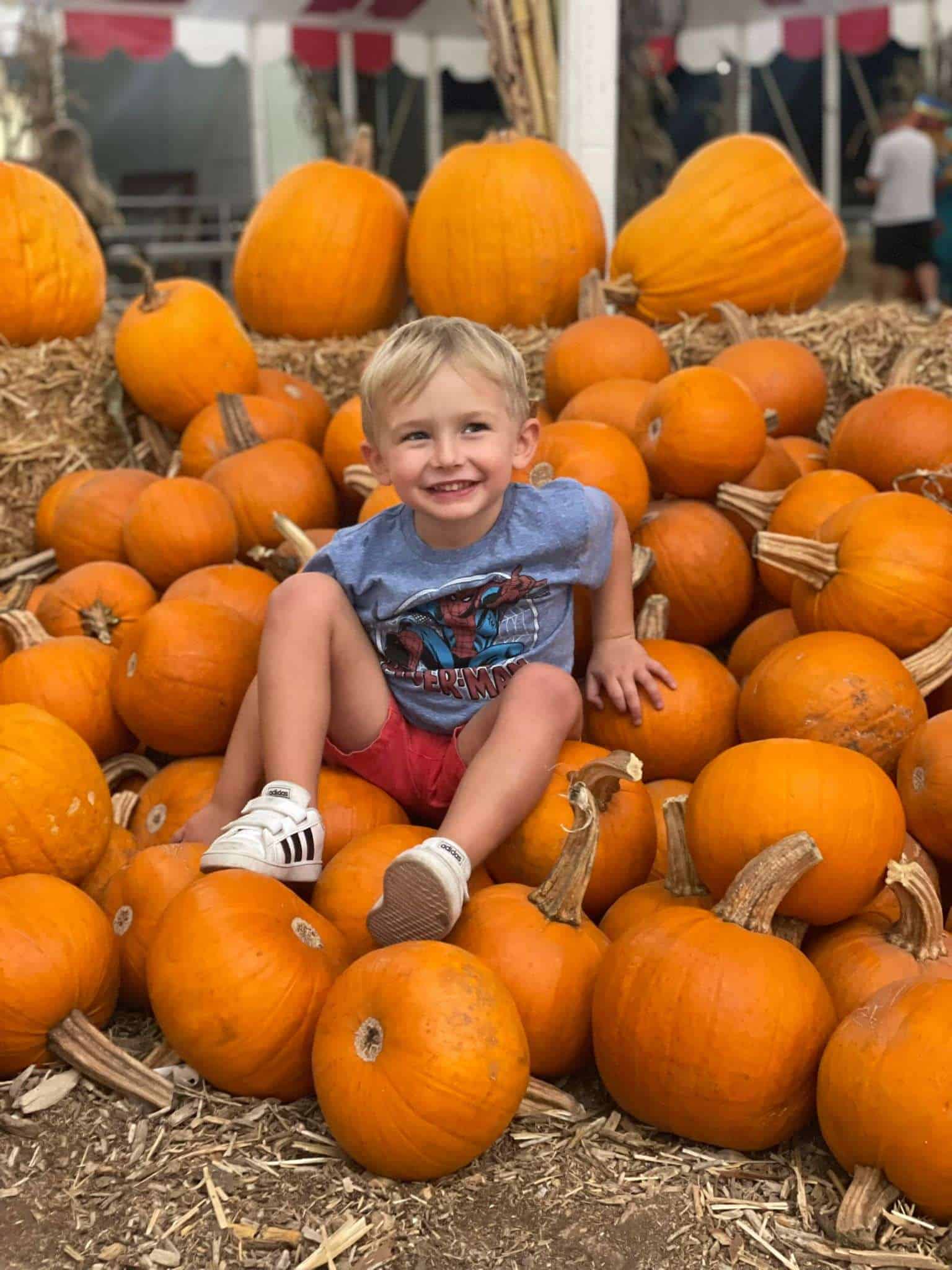 Pumpkin Patch Time - Route 1 Views