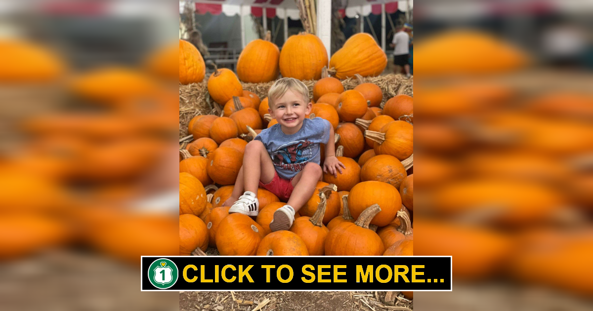Pumpkin Patch Time - Route 1 Views