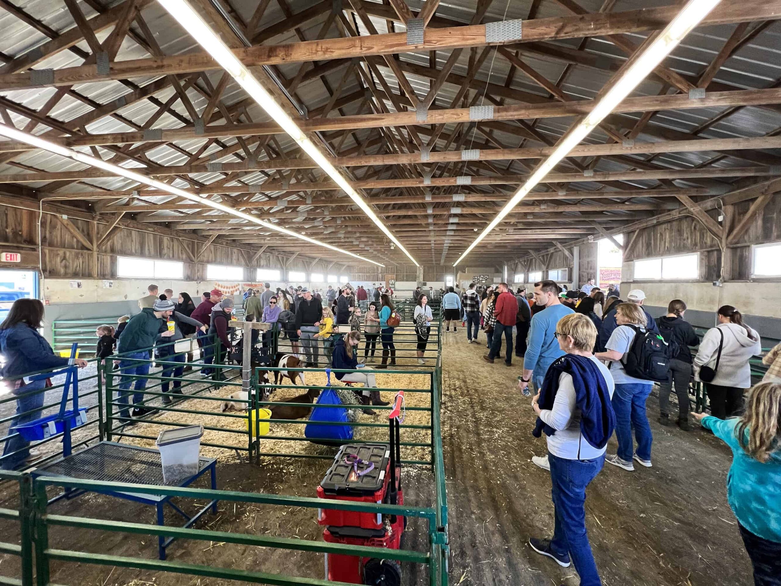 Topsfield Fair, Topsfield, MA - Route 1 Views