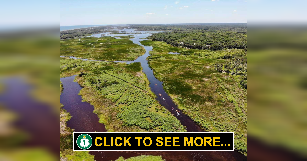 Guana Reserve Ponte Vedra Beach Florida - Route 1 Views