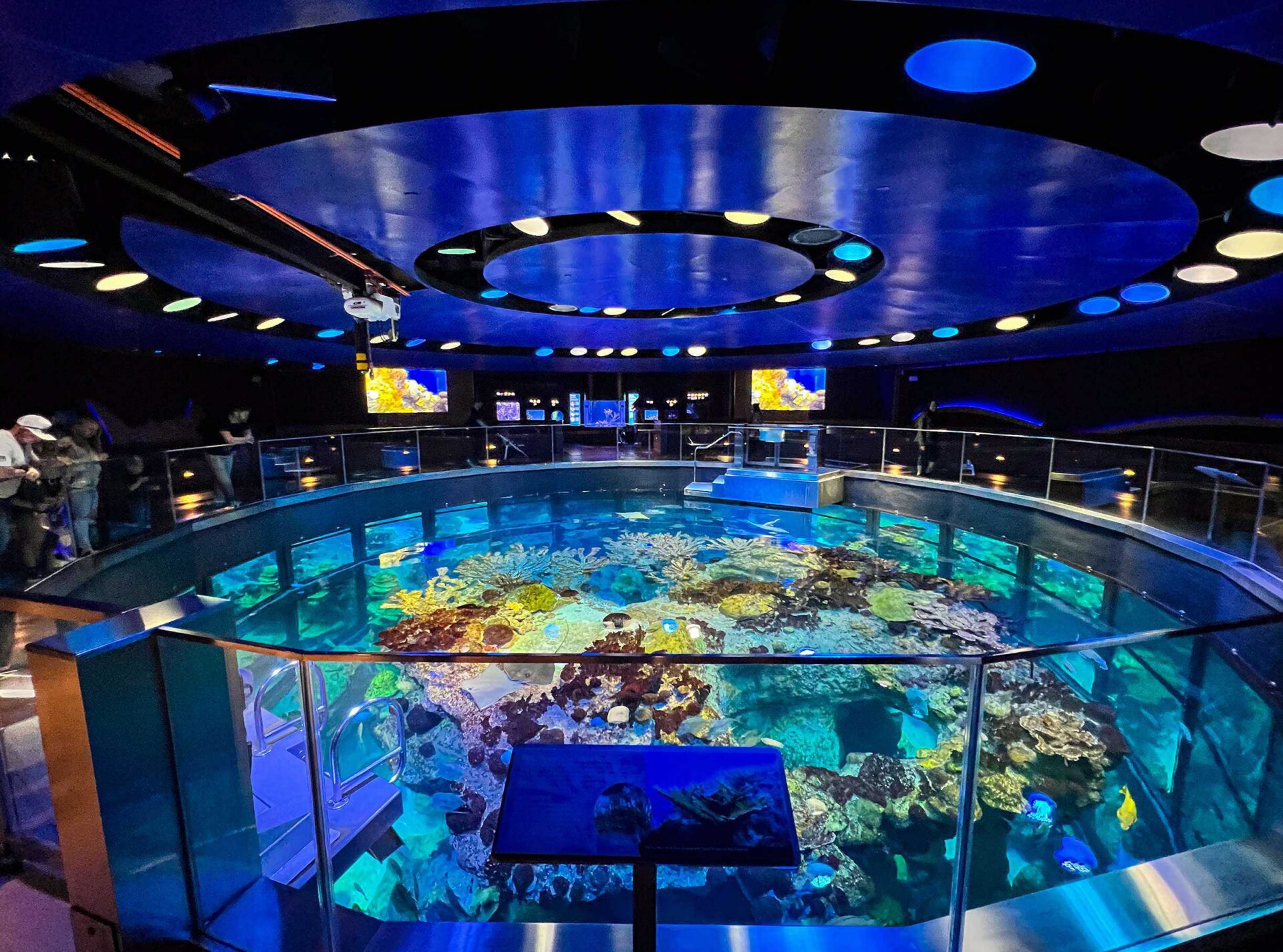 New England Aquarium - Boston, MA - Route 1 Views