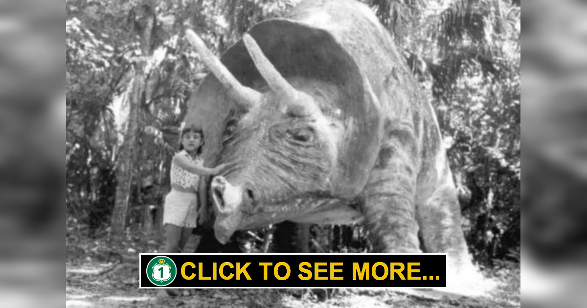 Bongoland Ruins. Florida - Route 1 Views