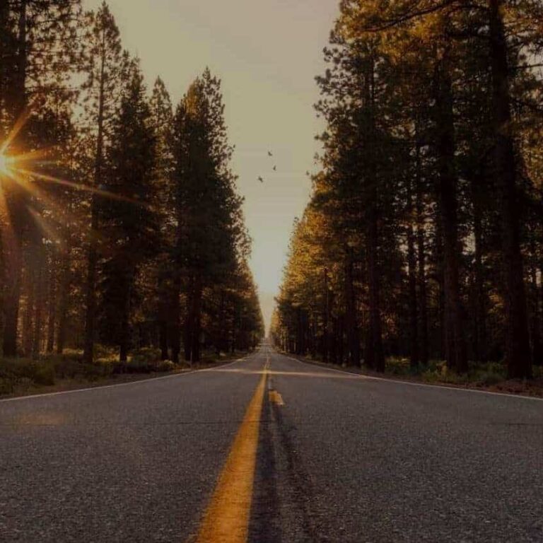 homepage - Route 1 Views