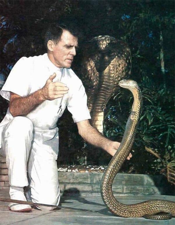 Bill Haast's Miami Serpentarium: The Florida Attraction of a Bygone Era ...