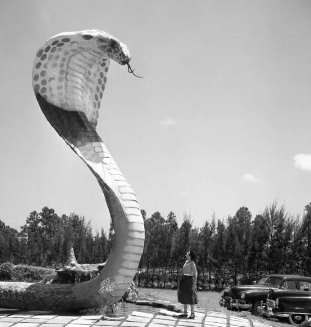 Bill Haast's Miami Serpentarium: The Florida Attraction of a Bygone Era ...