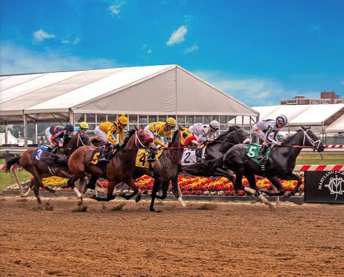 Baltimore's Pimlico Race Course: A Historic Destination for Horse ...