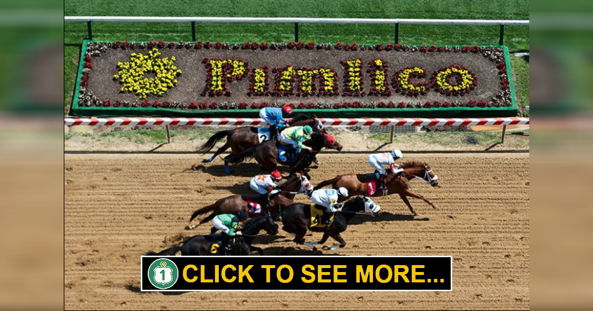 Baltimore's Pimlico Race Course: A Historic Destination for Horse ...